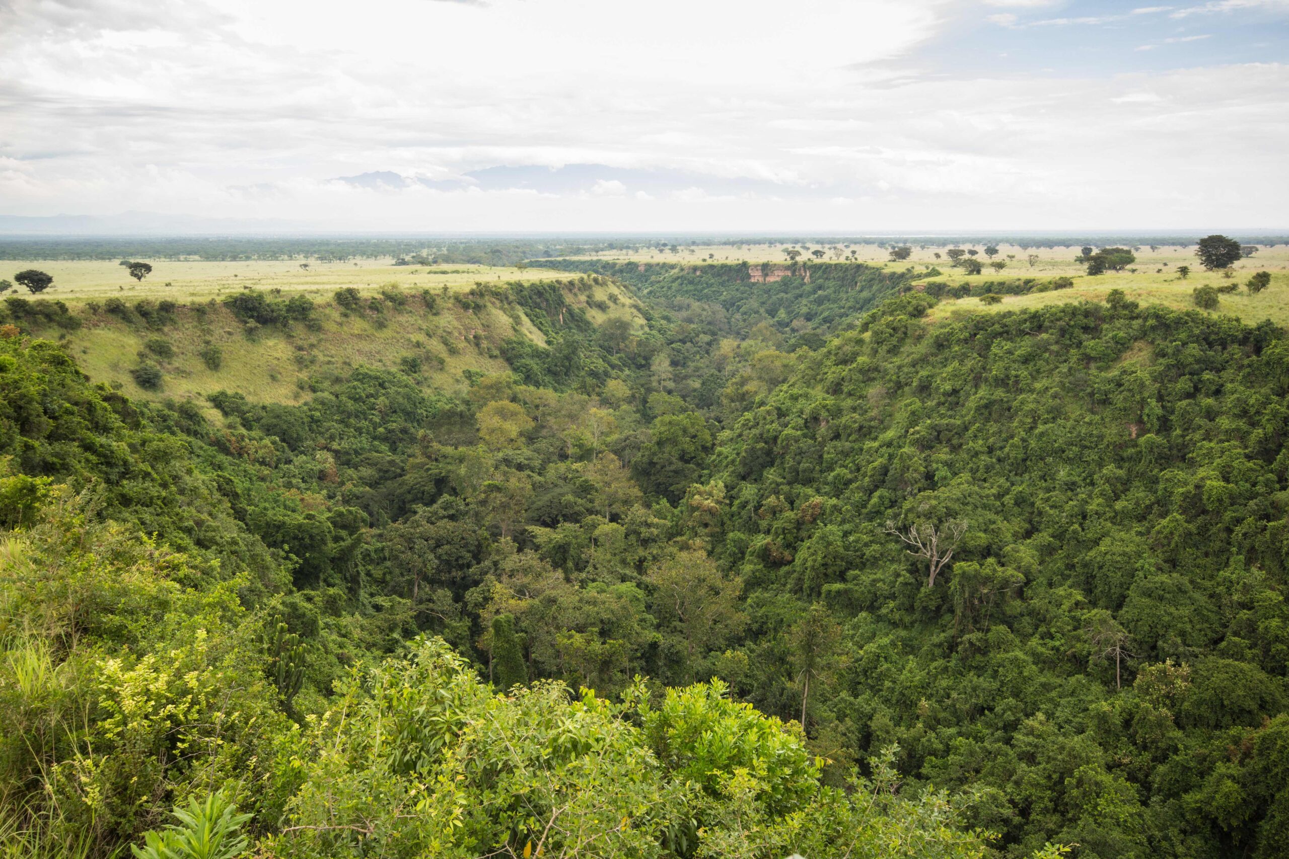 Kyambura Gorge Chimp Trekking, Uganda Chimpanzee Trekking Queen ...